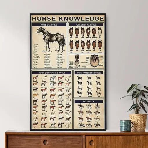 Horse Knowledge Poster Horse Lover Gift All About Horse Vintage ...