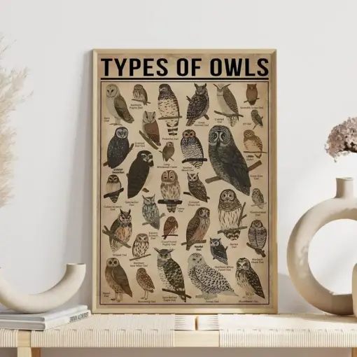 Owls Knowledge Poster Breeds Of Owl Vintage Poster Types Of Owl Chart ...
