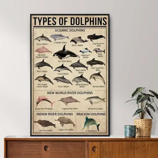 Types Of Dolphins Vintage Poster Dolphin Lover Gift Dolphin Poster ...
