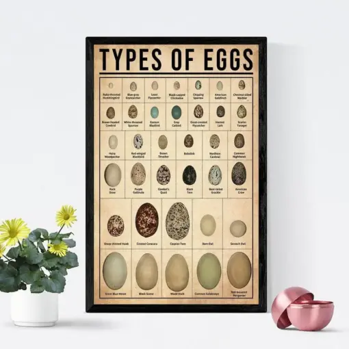 Types Of Egg Poster Vintage Egg Wall Art Egg Knowledge Wall Decor Kitchen Wall Hanging Kitchen ...