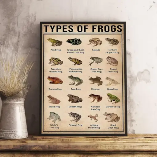 Types Of Frogs Poster Frog Knowledge Print Frog Wall Art Frogs Of The ...
