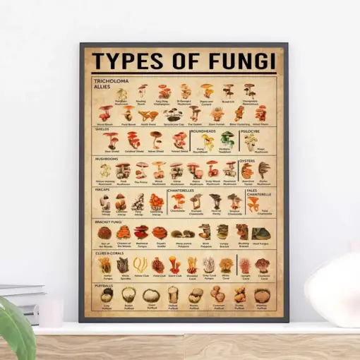 Types Of Fungi Knowledge Poster Fungi Poster Mushroom Decor Fungi Art ...