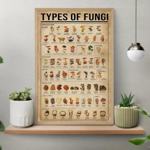 Types Of Fungi Vintage Poster Fungi Poster Fungi Wall Art Cooking Lover ...