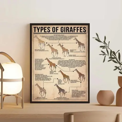 Types Of Giraffes Poster Giraffe Lover Gift All About Giraffe Knowledge ...