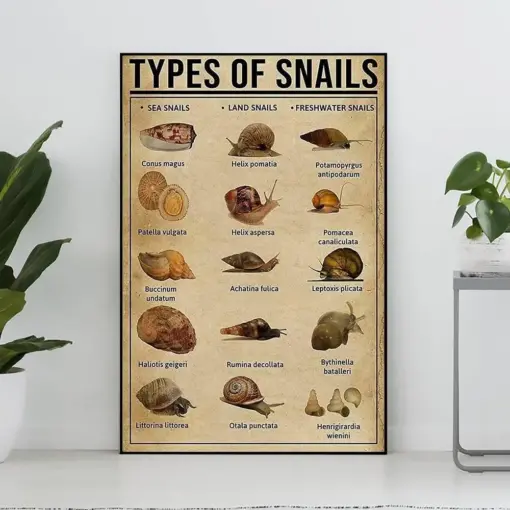 Types Of Snails Vintage Poster Snail Lover Gift Snail Art Print ...